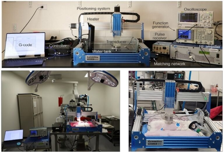 Impressão 3D com ultrassom cria objetos dentro de seres vivos - Jornal ...
